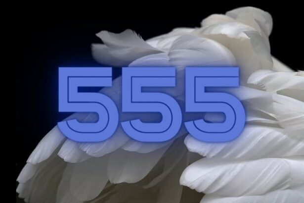 Anjo número 555: Impactos e lei da atração - Cosmosfala